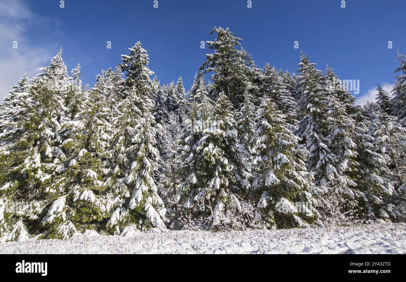 Blue sky clouds and snow hi-res stock photography and images - Alamy