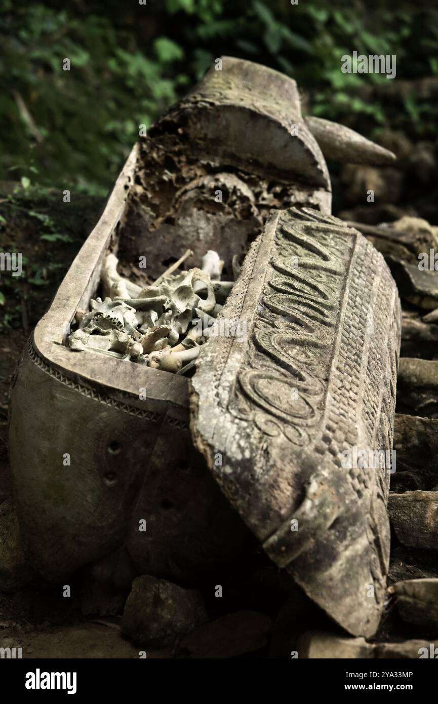 Indigenous sarcophagus filled with human bones at a traditional burial ...
