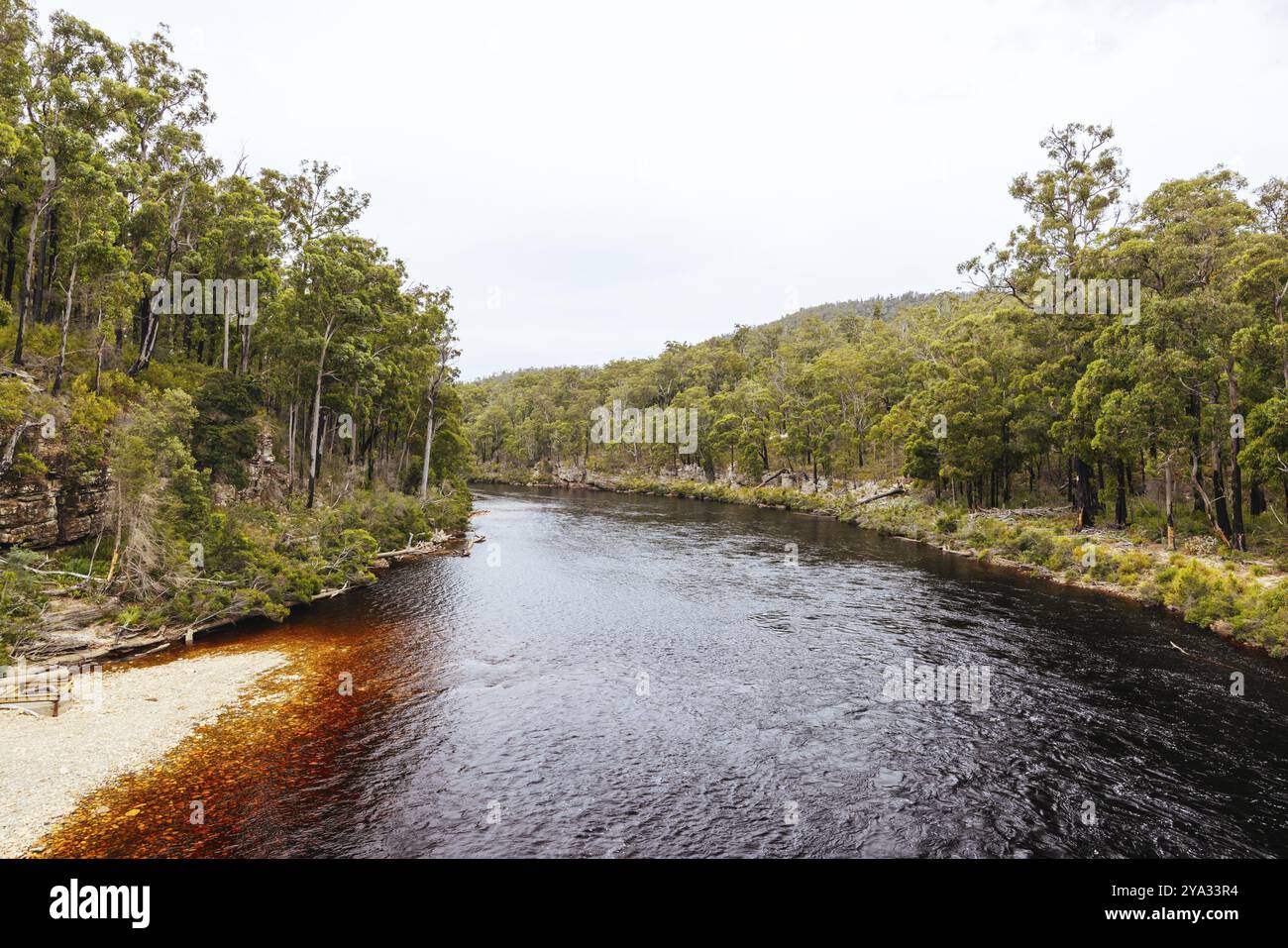 The area around Huon River and Southwood Rd in Lonnvale near Geeveston ...