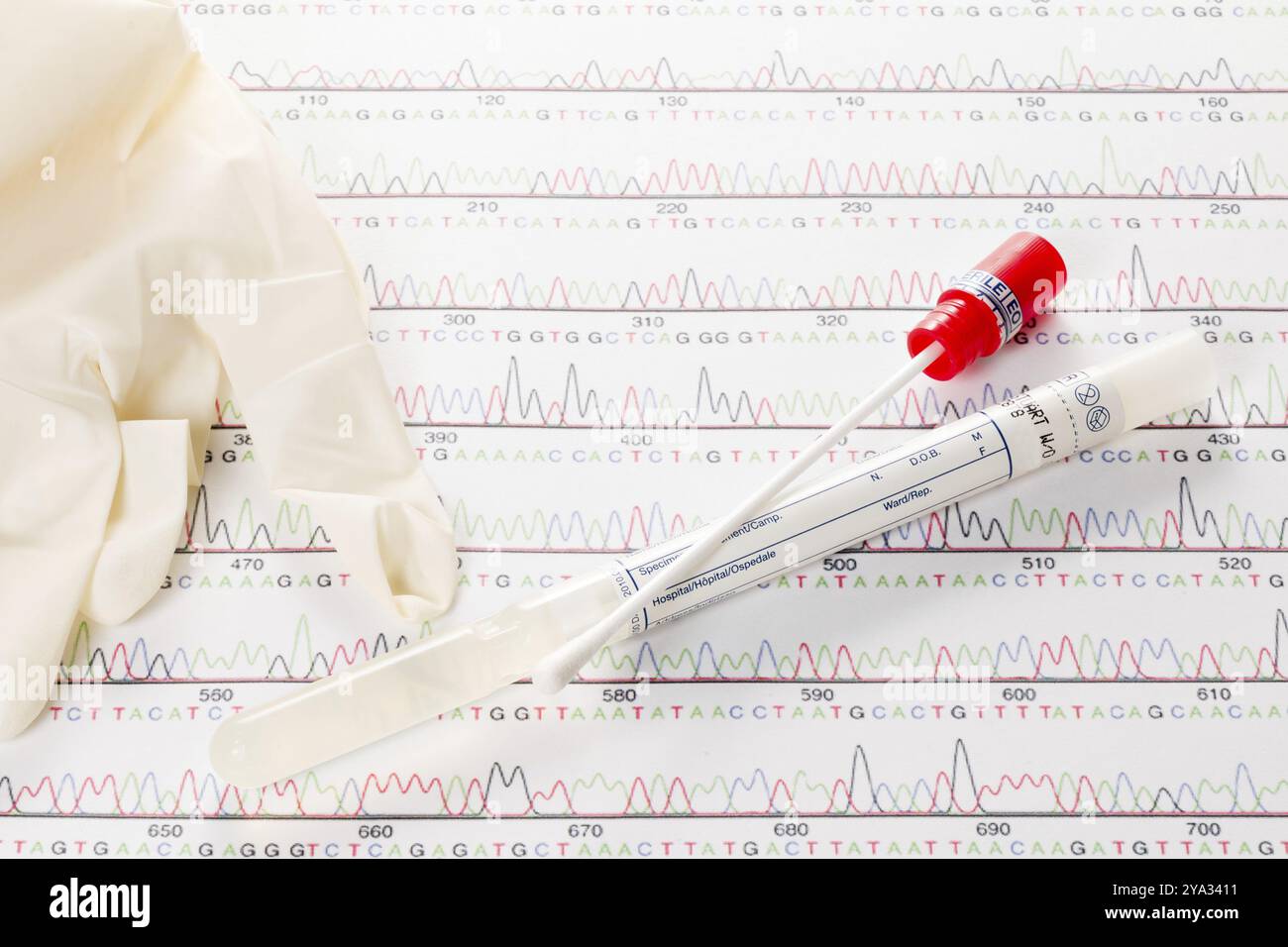 DNA swab test, cotton swabs for genetic fingerprinting Stock Photo - Alamy