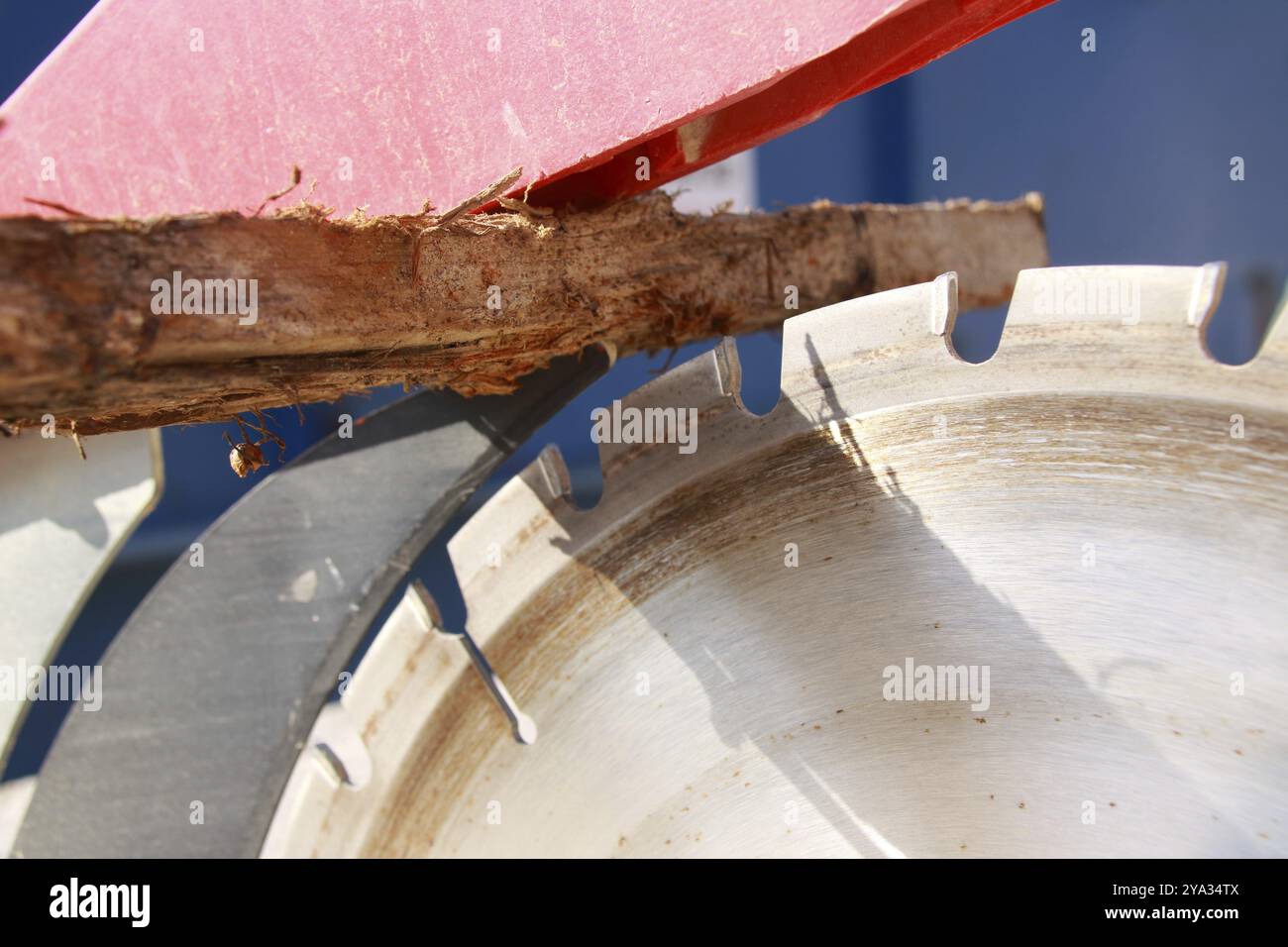 Hand guard on a circular saw was blocked by a piece of wood Stock Photo ...