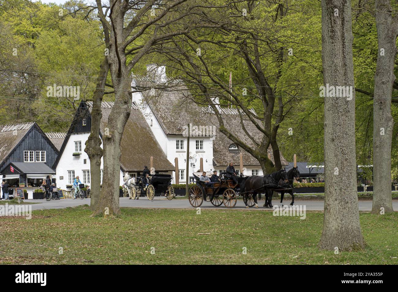 Klampenborg, Denmark, May 01, 2022: A horse-drawn carriages inside the ...