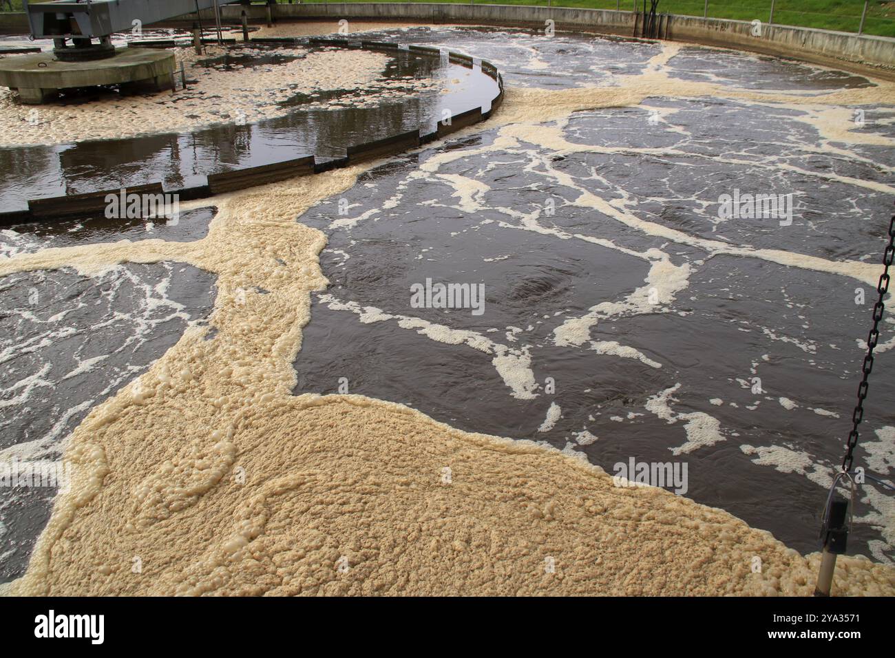 Foam formation in the aeration tank of a wastewater treatment plant ...