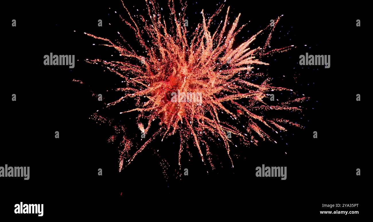 Digital image of red fireworks exploding against black background. 4k ...