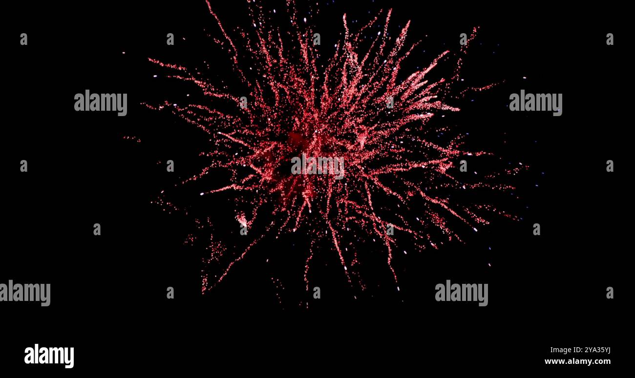 Digital image of red fireworks exploding against black background. 4k ...