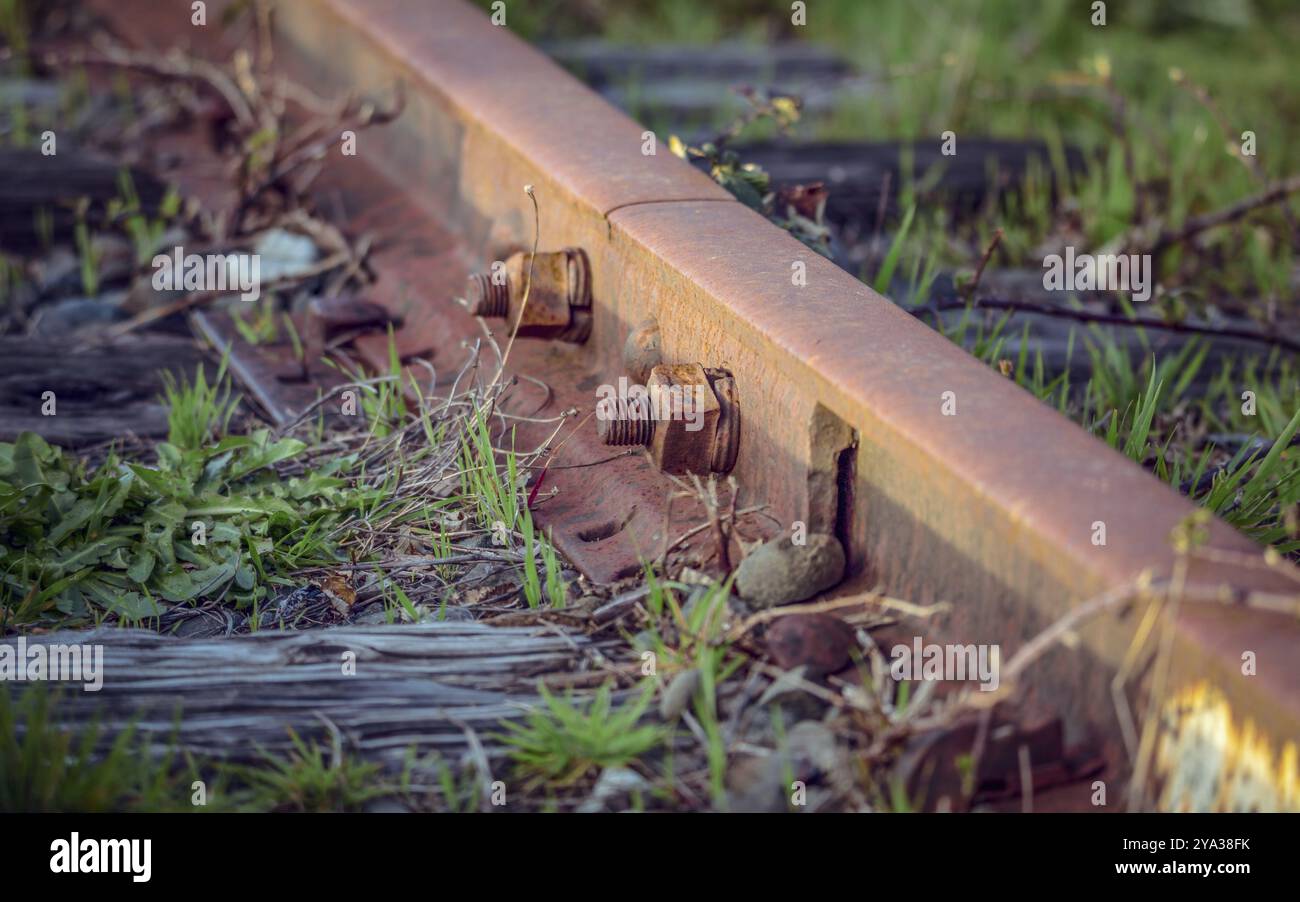 Rusty railroad track with weeds hi-res stock photography and images - Alamy