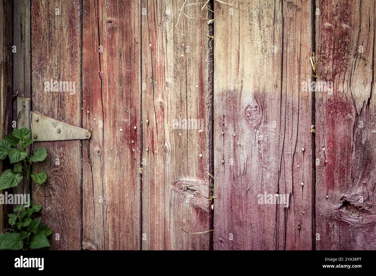 Sections detail hi-res stock photography and images - Alamy