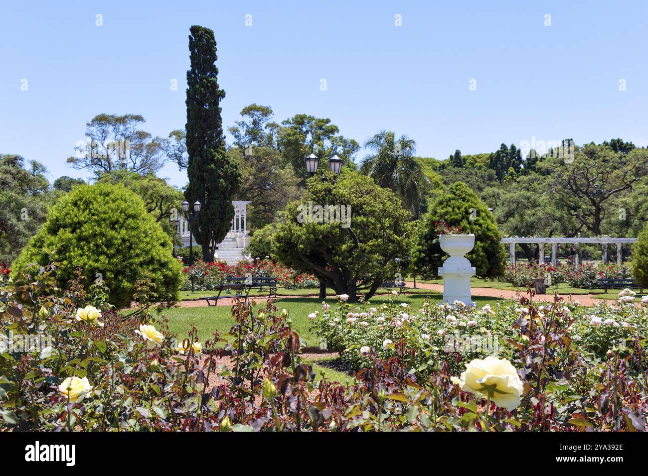 Rose park in the Palermo forest with over a thousand roses in Buenos ...