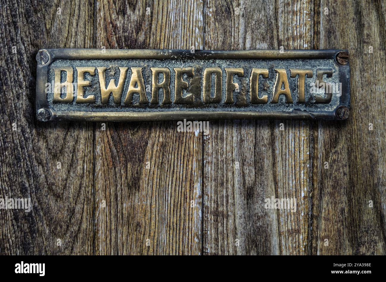 Beware of the cats hi-res stock photography and images - Alamy