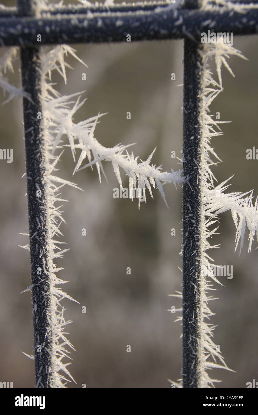 Ice crystals on a wire grid Stock Photo - Alamy