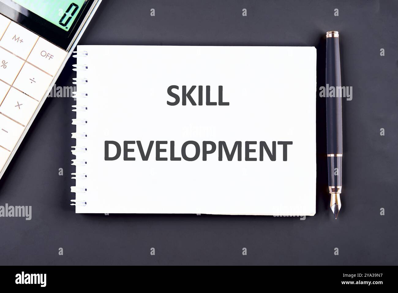 Business concept. The phrase, the text, the word SKILL DEVELOPMENT is ...