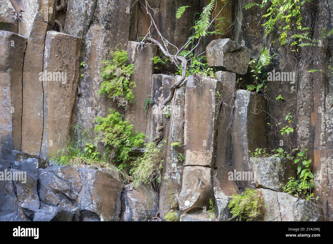 Indian river water sceneries hi-res stock photography and images - Alamy