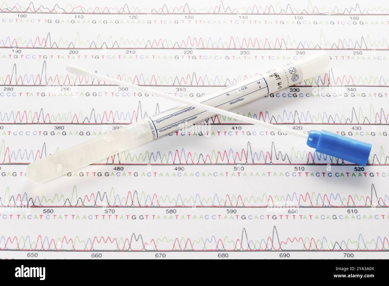 DNA swab test, cotton swabs for genetic fingerprinting Stock Photo - Alamy