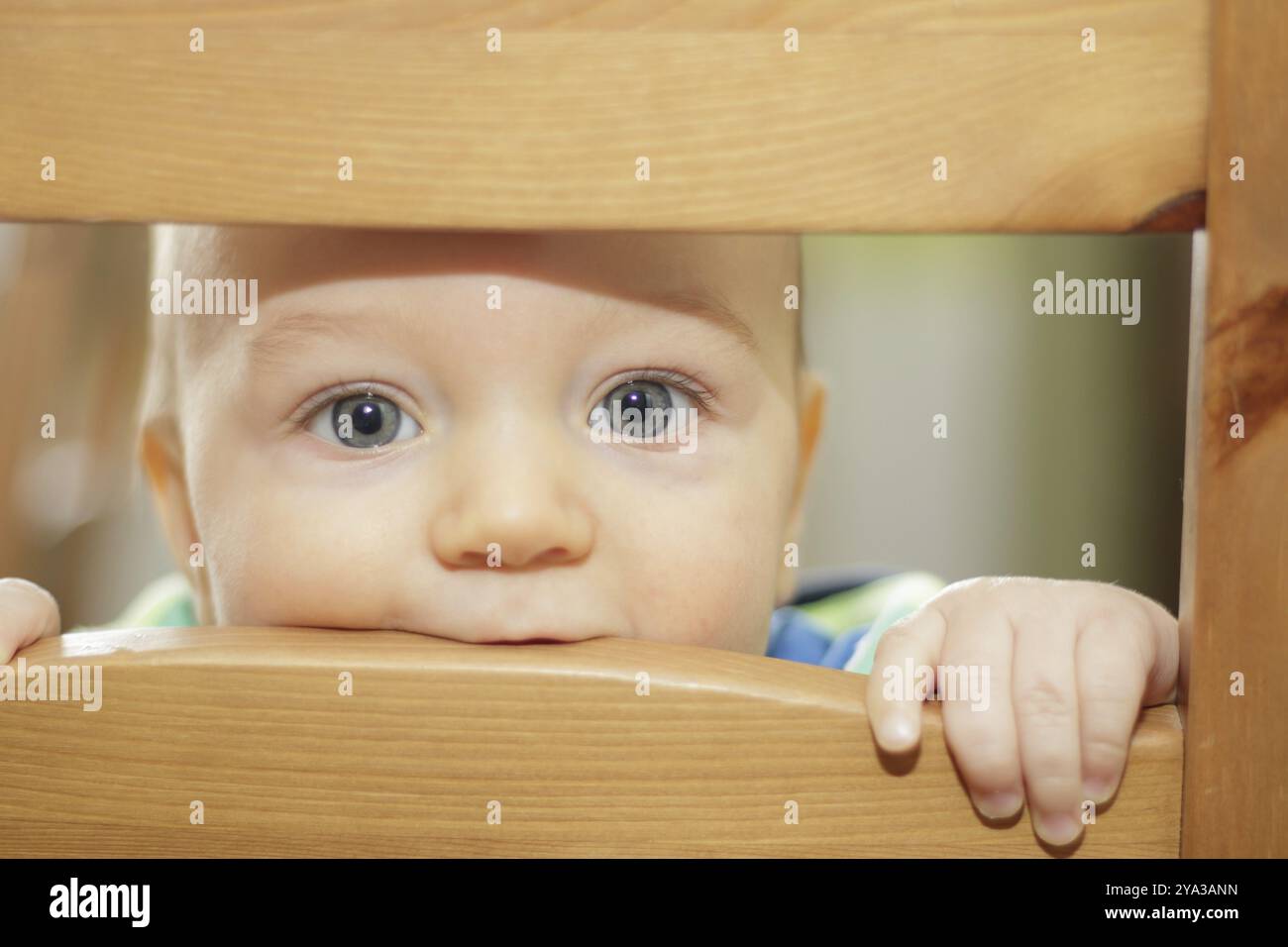 Small kid hiding on the chair back. PoznaN, Poland, Europe Stock Photo ...