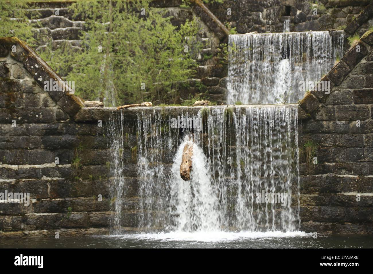 Retention basin in a mountain stream blocked by a log Stock Photo - Alamy