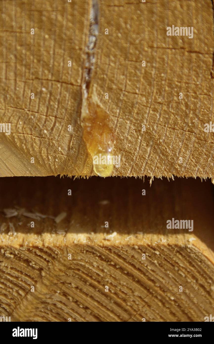 Resin drops hi-res stock photography and images - Alamy