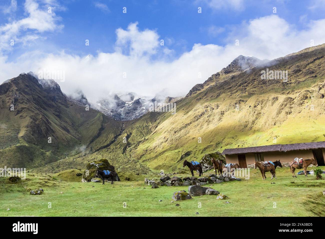 Salkantay Trekking in Peru, South America Stock Photo - Alamy
