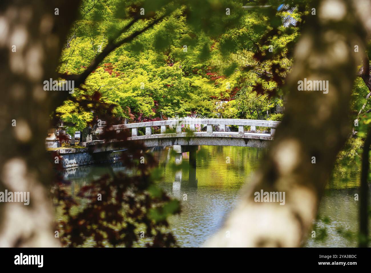 Historic temples in japan hi-res stock photography and images - Alamy