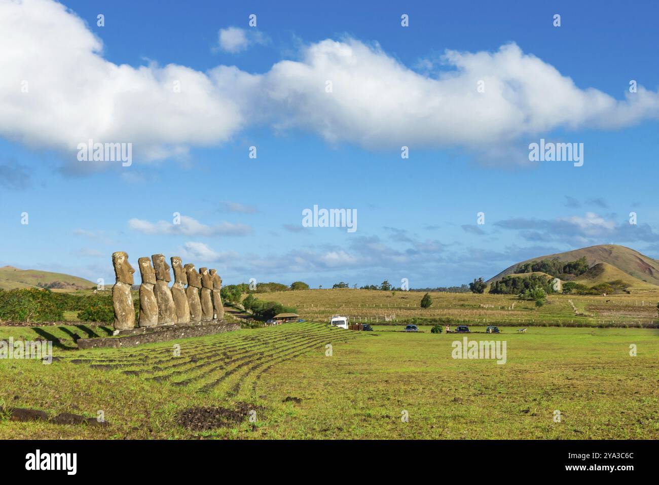 Seven Ahu Akivi Moai, which are the only Moai to face the sea. Easter ...