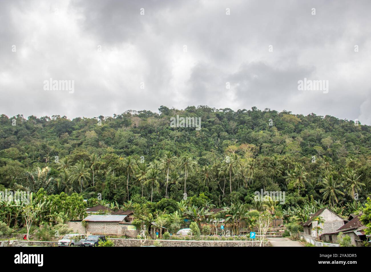 tropical landscape. Rice fields jungle and lots of nature on an island ...