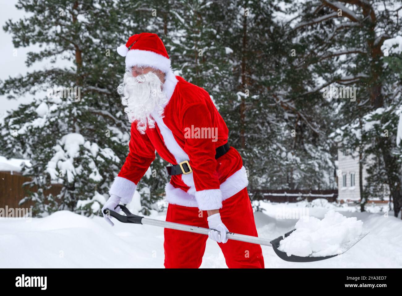 Santa Claus cleans snow with shovel in winter outdoors after a snowfall ...