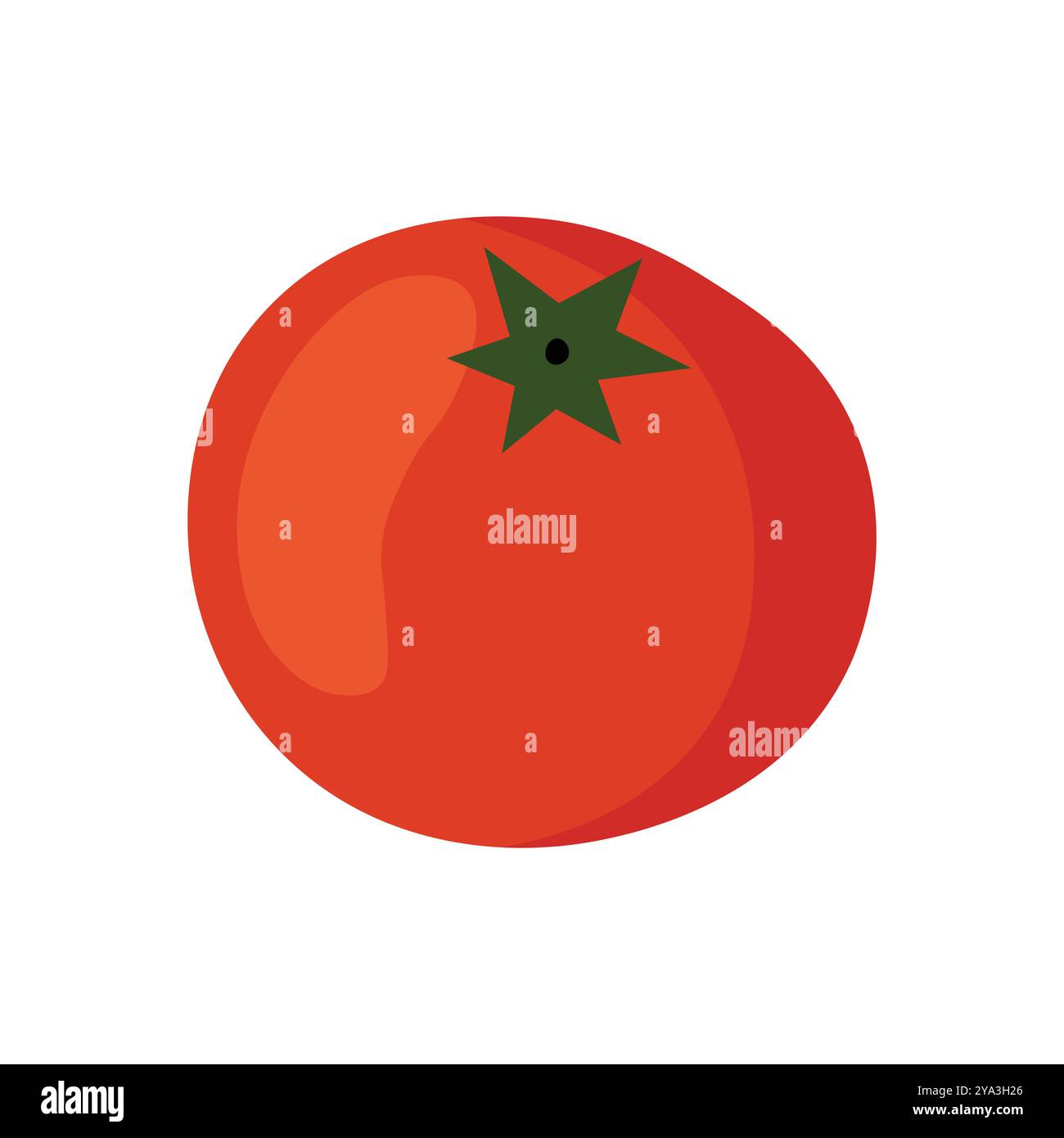 Tomato slice isolated on white background Stock Vector Images - Alamy