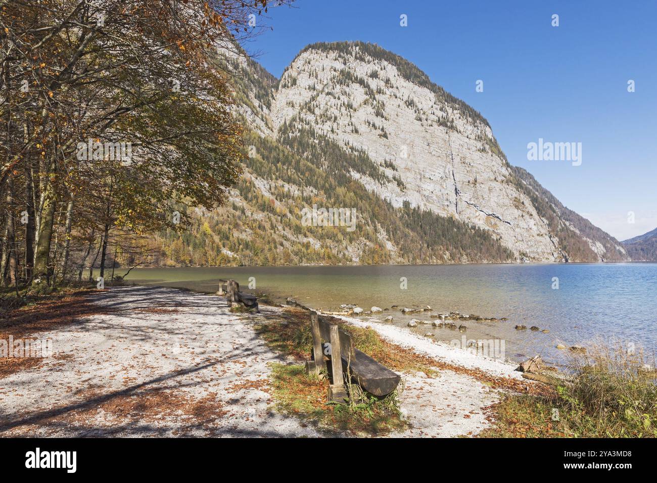 Koenigssee in Bavaria. Beach on the Hirschau peninsula, with the ...