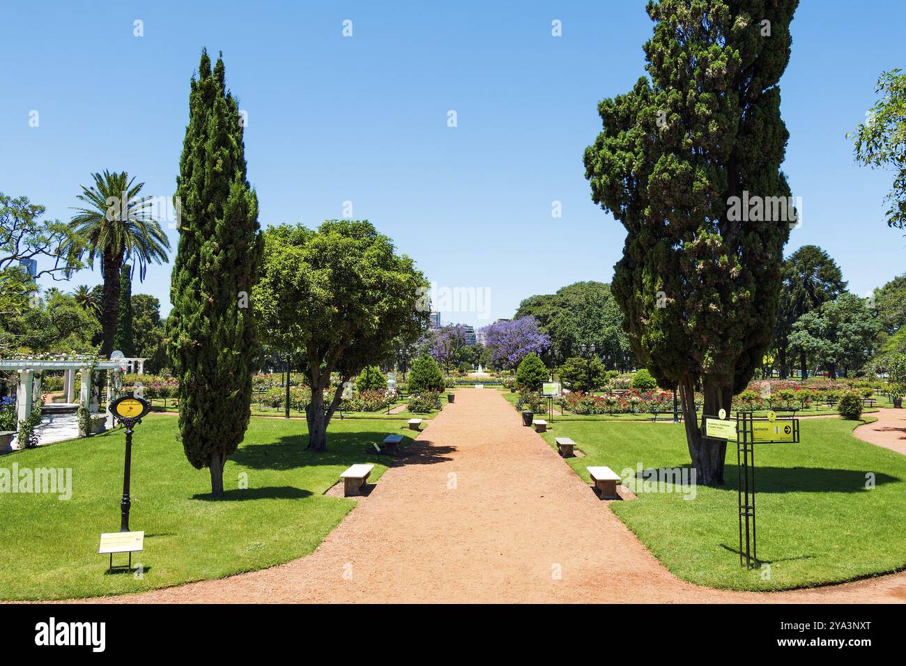 Rose park in the Palermo forest with over a thousand roses in Buenos ...