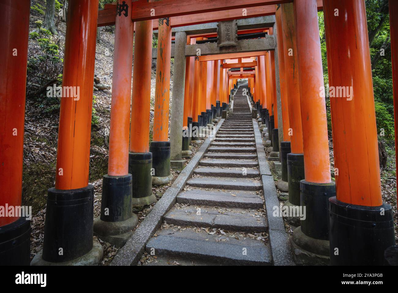 Red Tori Gate at Fushimi Inari Shrine in Kyoto, Japan. One of the ...