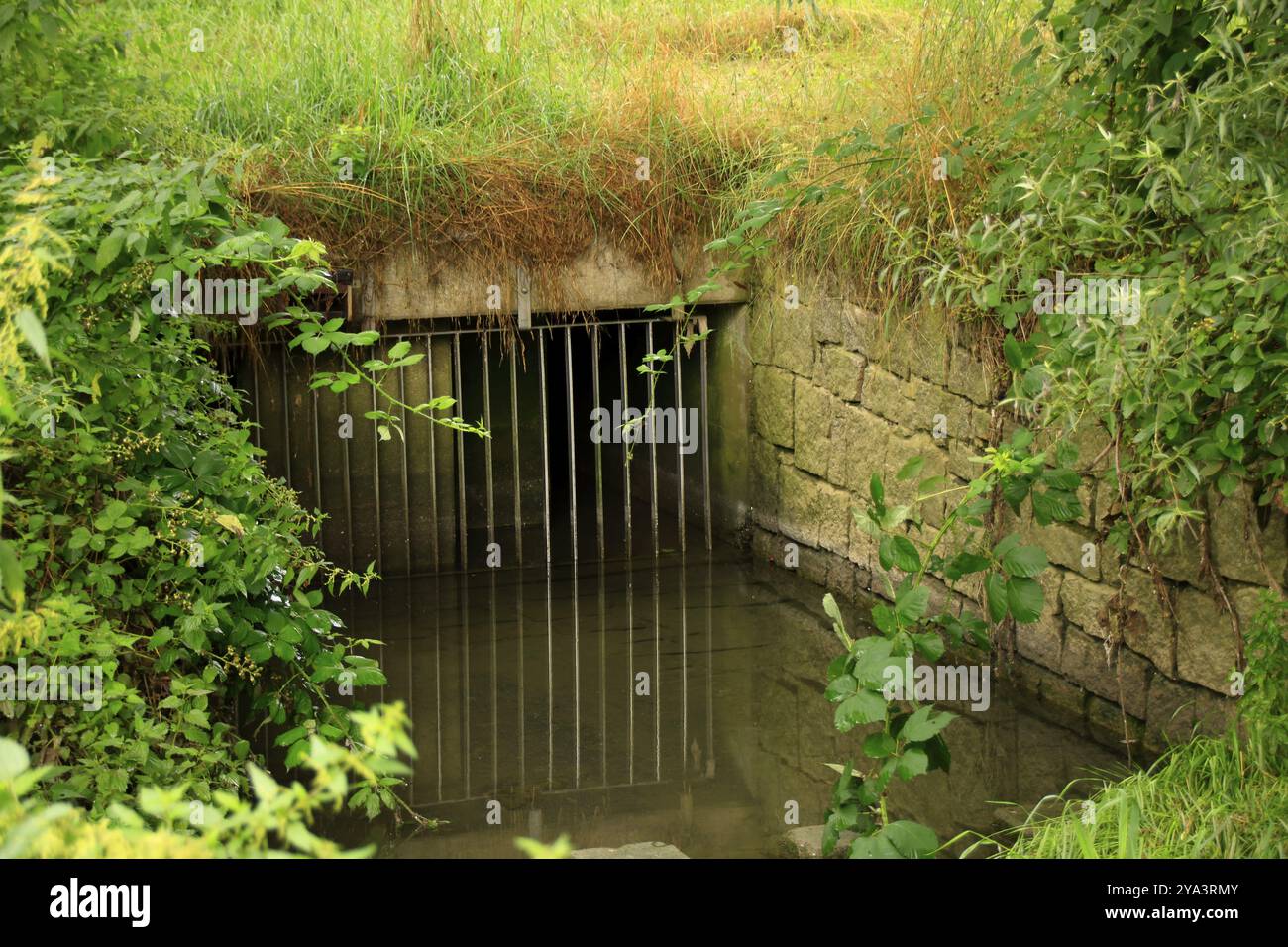 Outlet of a rainwater overflow basin, which is barred for safety Stock ...