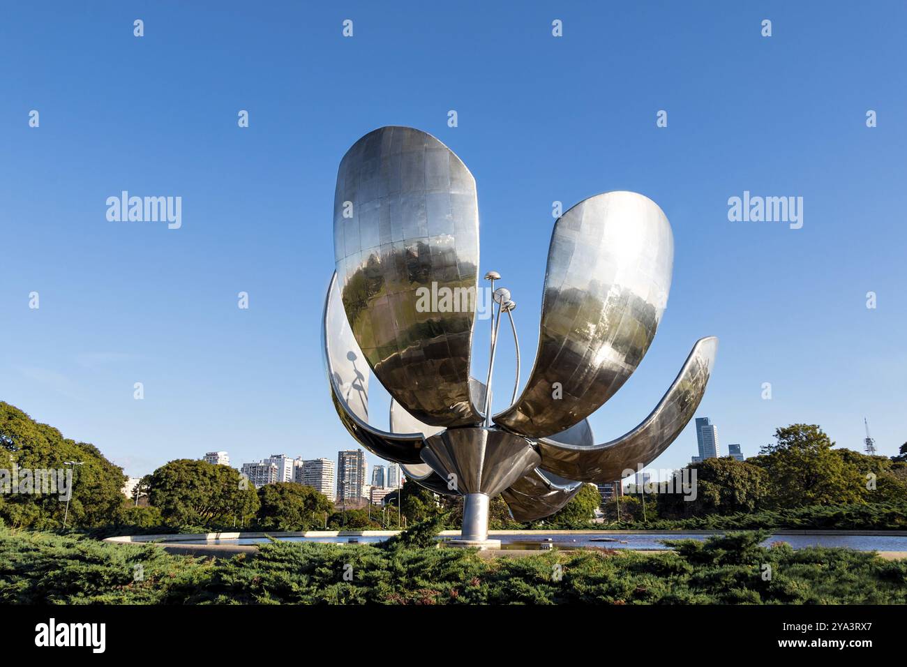 Floralis generica buenos aires argentina hi-res stock photography and ...