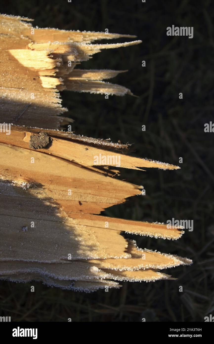 Broken edge on a board made of timber Stock Photo - Alamy