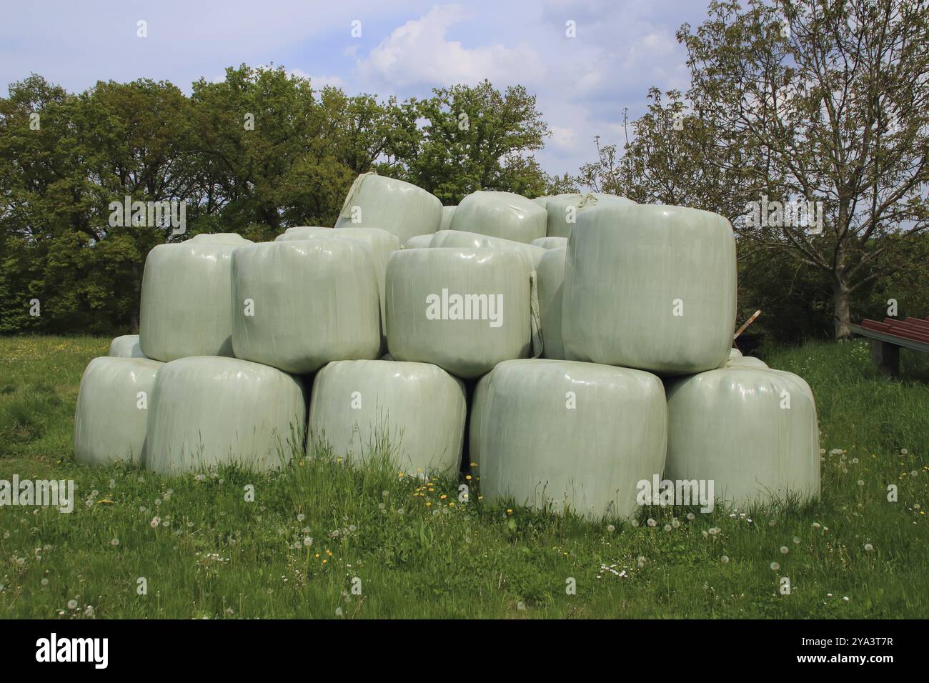 Wrapping bale hi-res stock photography and images - Alamy