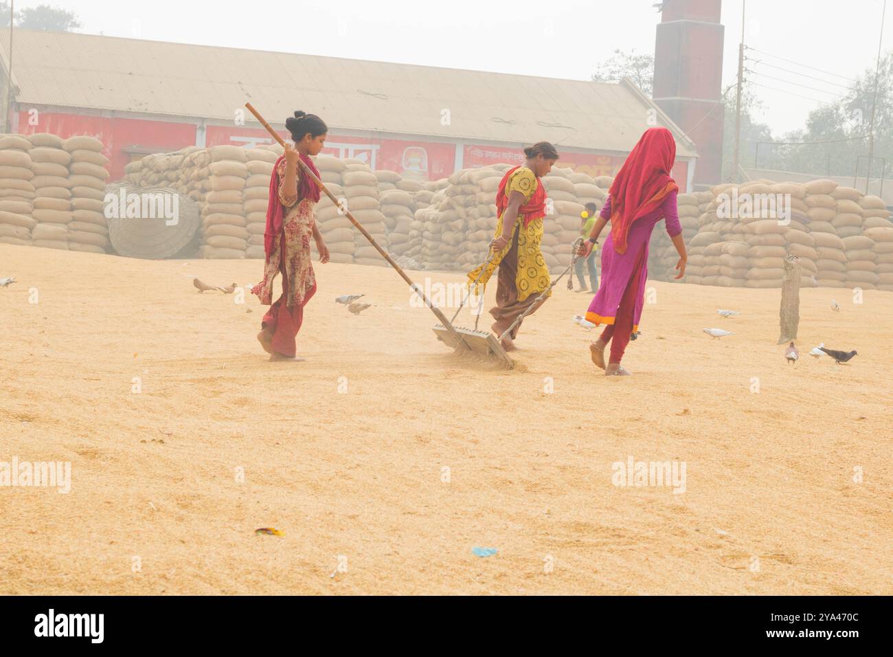 Ashuganj, Brahmanbaria,‎January ‎26, ‎2023,Workers working in small ...