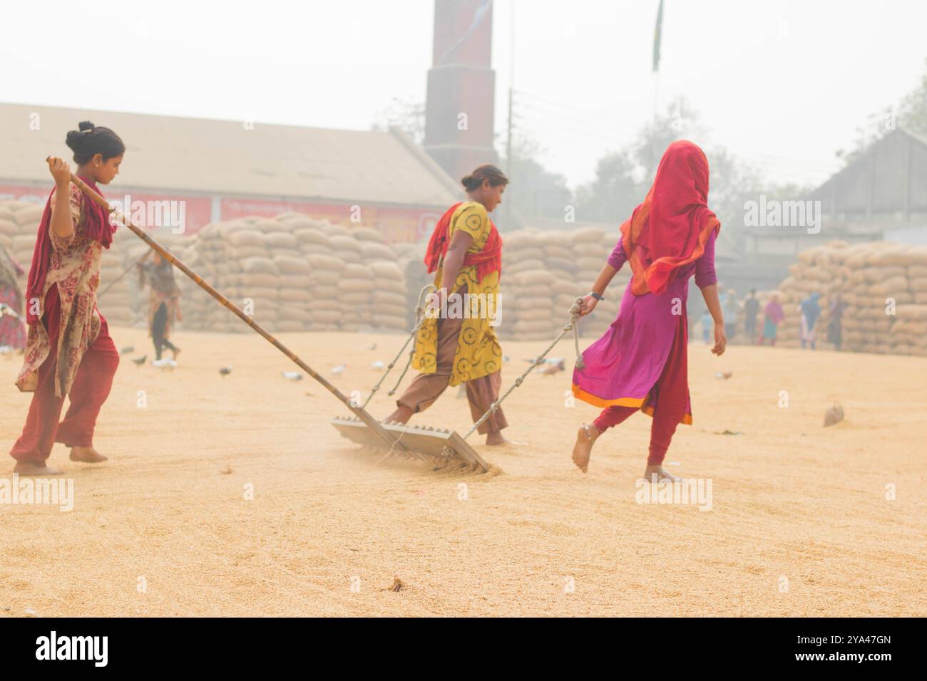Ashuganj, Brahmanbaria,‎January ‎26, ‎2023,Workers working in small ...