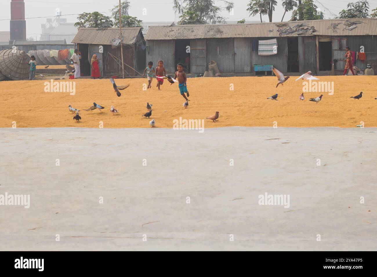 Ashuganj, Brahmanbaria,‎January ‎26, ‎2023,Workers working in small ...