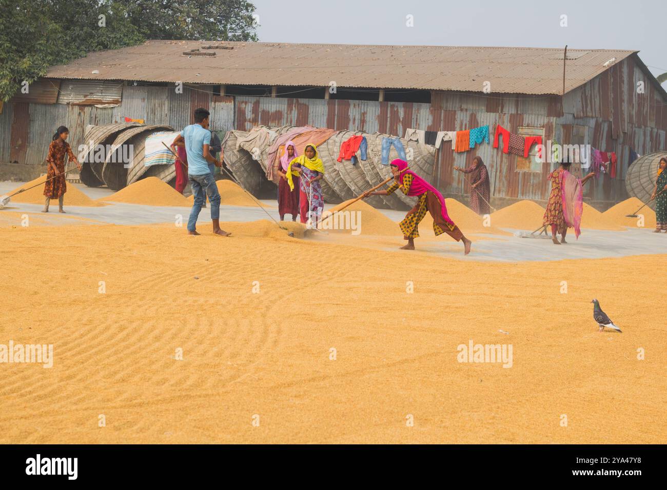 Ashuganj, Brahmanbaria,‎January ‎26, ‎2023,Workers working in small ...
