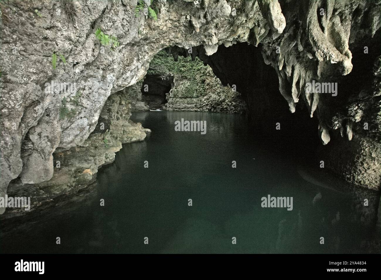 Limestone caves of Waikelo Sawah, a rare water source in Sumba—an ...