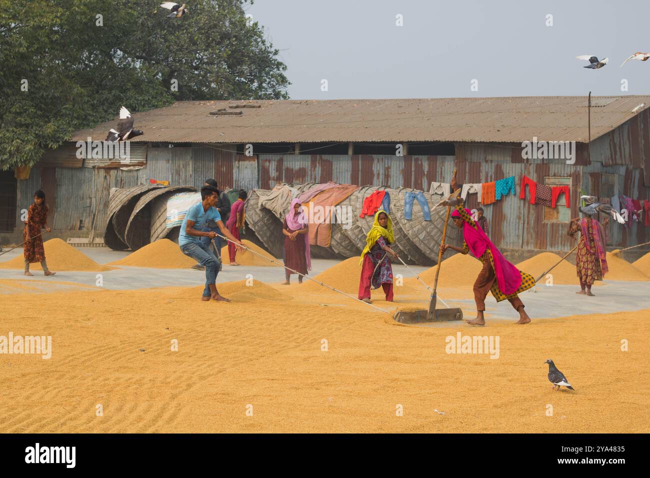 Ashuganj, Brahmanbaria,‎January ‎26, ‎2023,Workers working in small ...