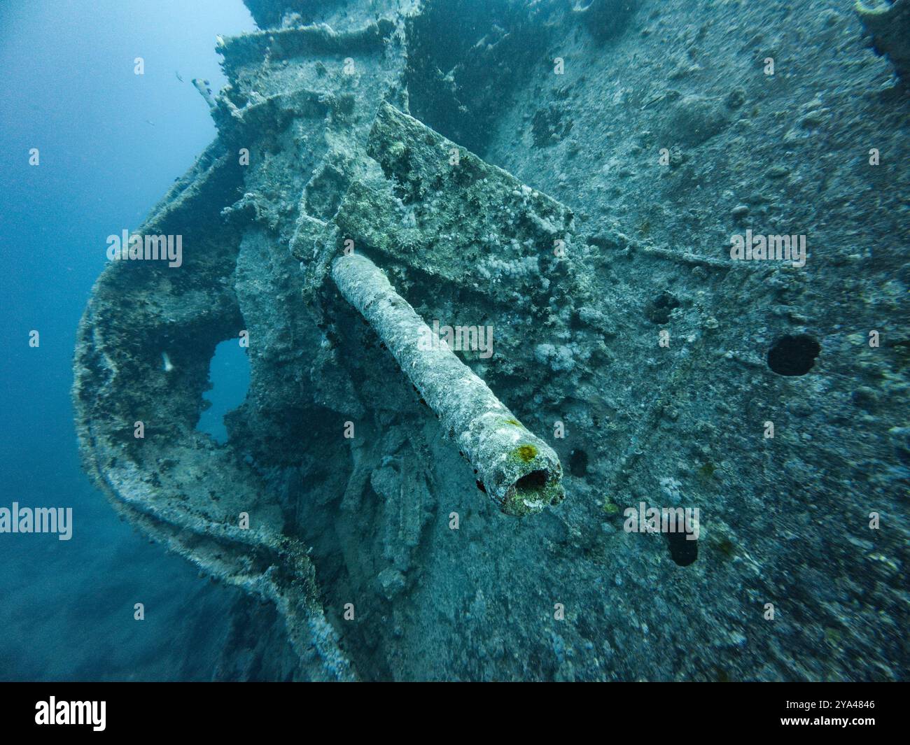 SS Thistlegorm Wreck Underwater Anti Aircraft Gun at the Stern in the ...