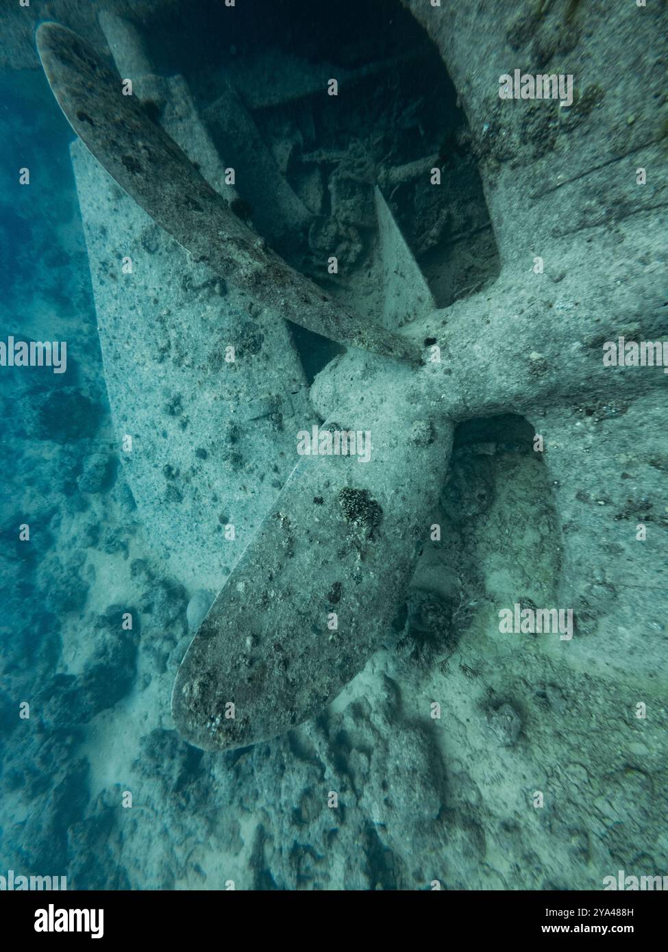 SS Thistlegorm Wreck Propeller of a Sunken WW2 Cargo Ship in the Red ...