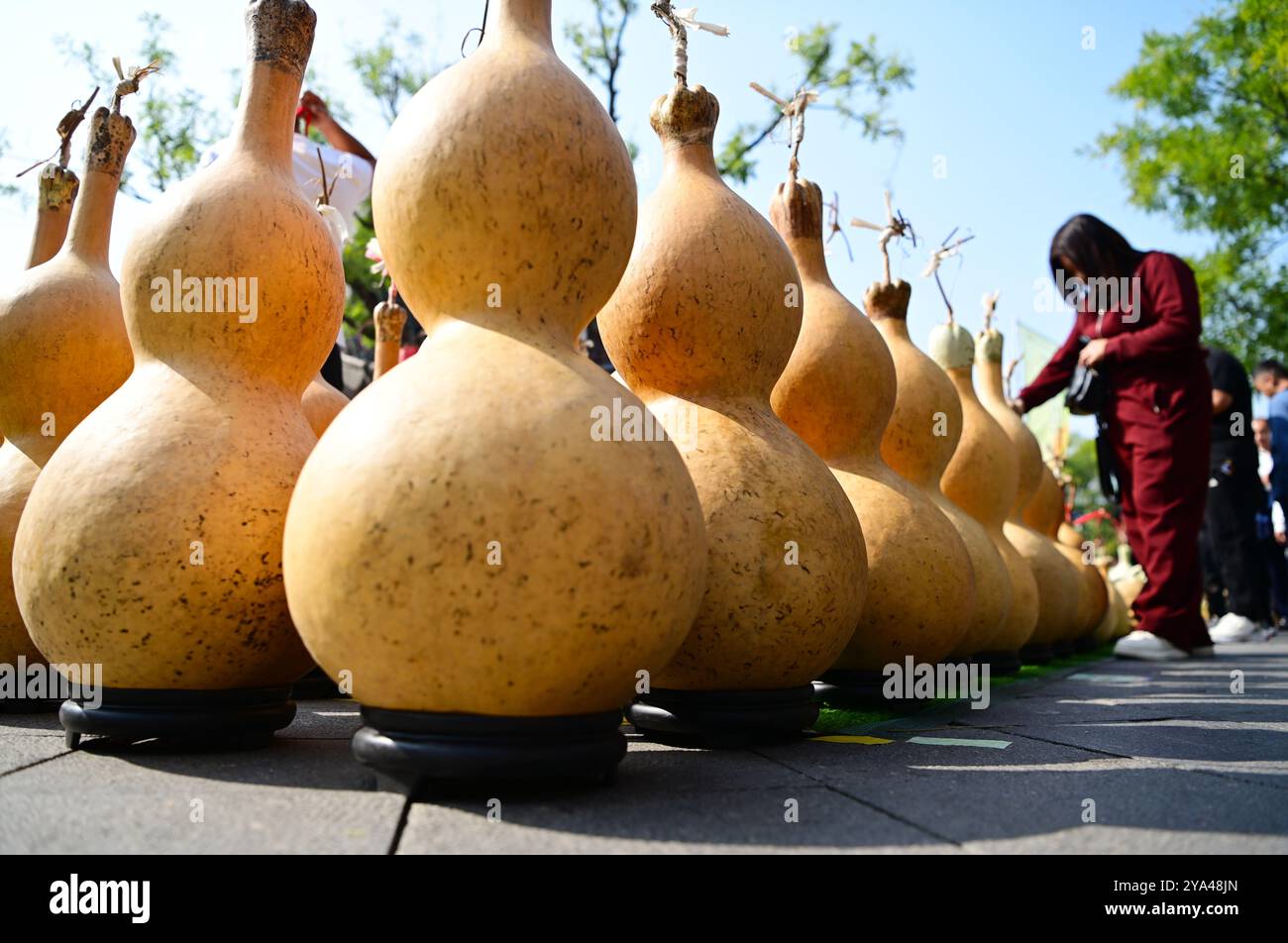 Liaocheng, China. 12th Oct, 2024. Visitors buy craft gourds at the ...
