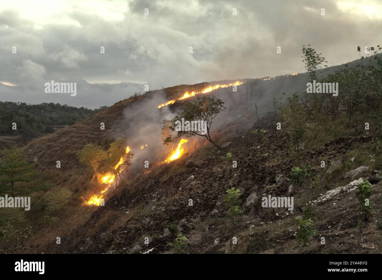 Landfire on a dry grassland during dry season on the outskirts of ...