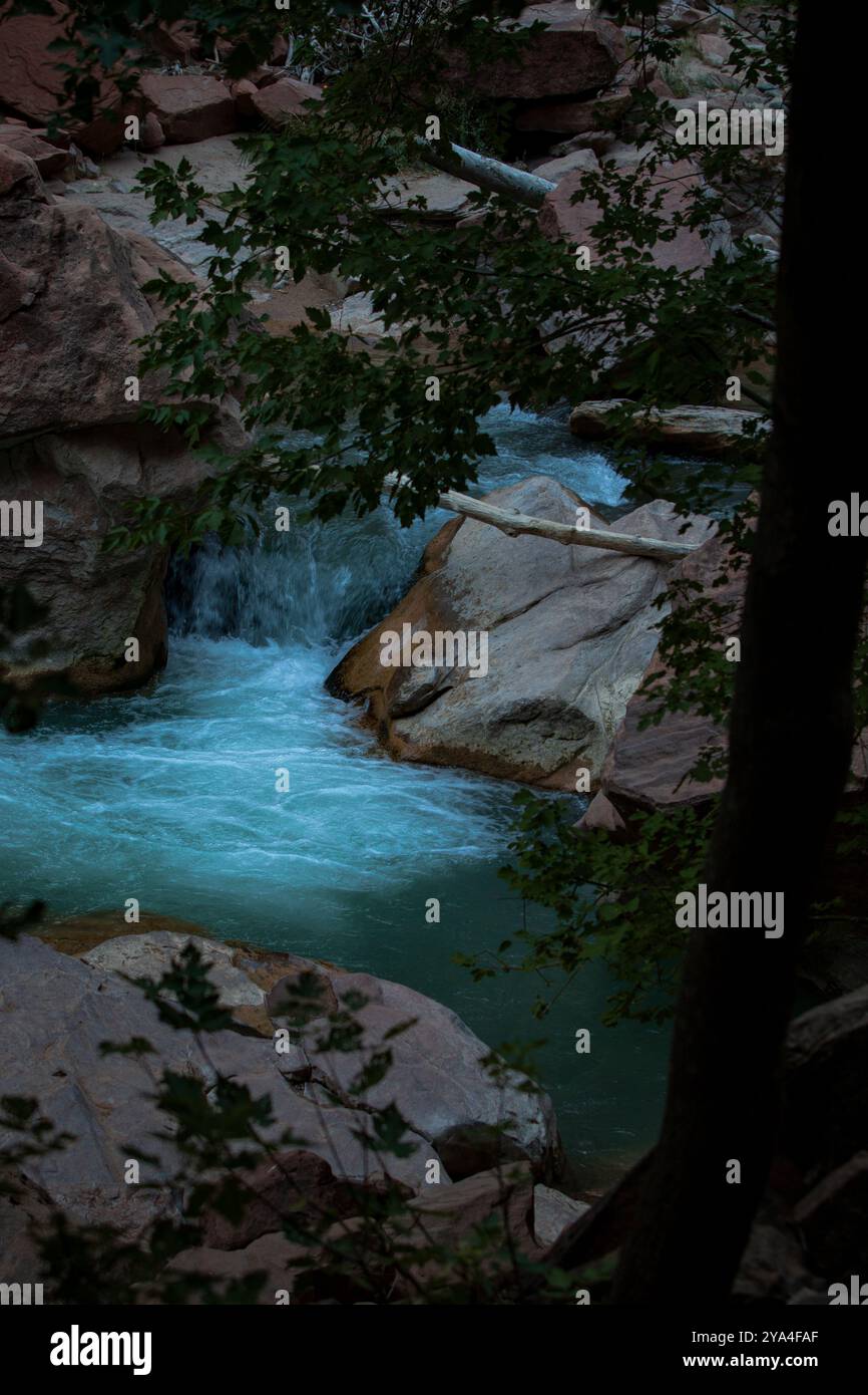 Zioin national park hi-res stock photography and images - Alamy