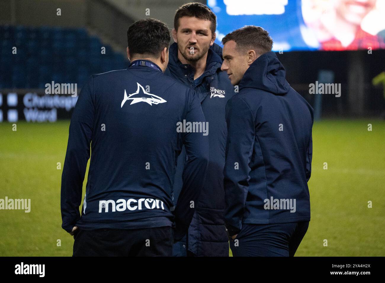 Josh wardle hi-res stock photography and images - Alamy