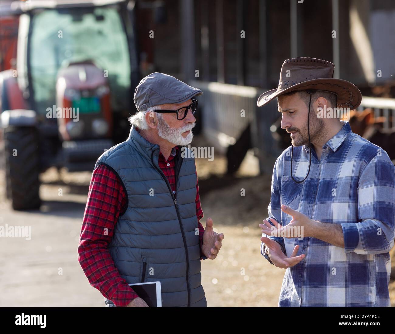 Two farmers talking in front of cowshed and tractor in background on ...