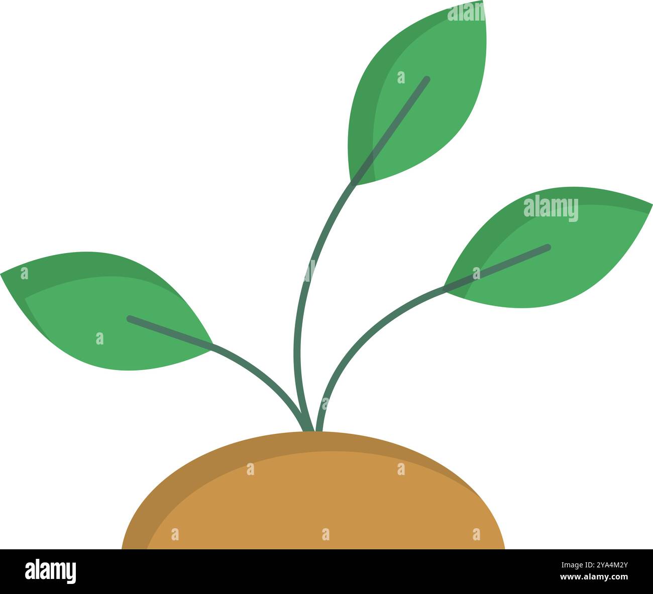 Soil ecosystem vector vectors hi-res stock photography and images - Alamy