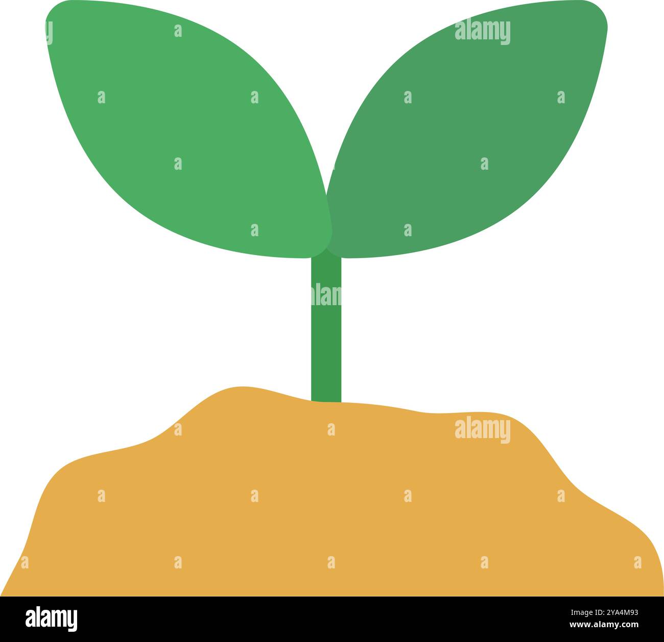 Soil ecosystem vector vectors hi-res stock photography and images - Alamy