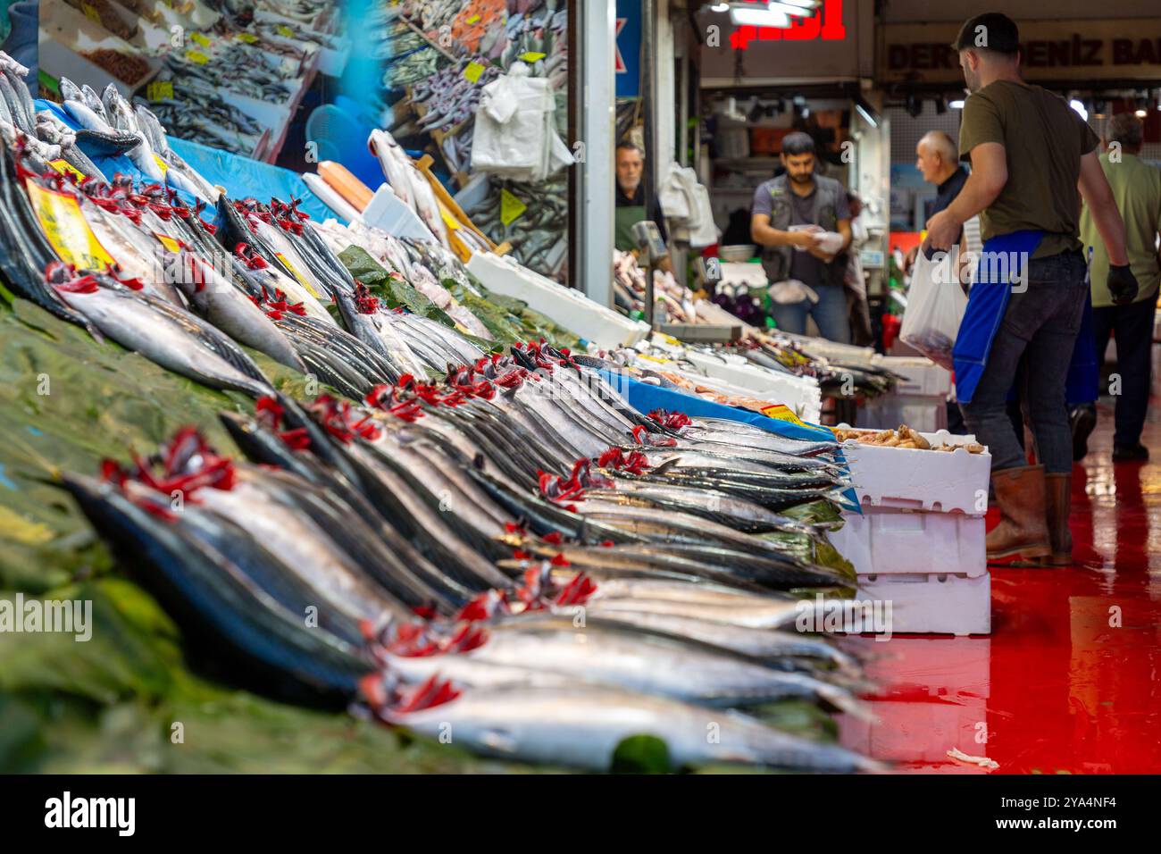 Istanbul, Turkiye - OCT 8, 2024: Various types of fish sold at the ...