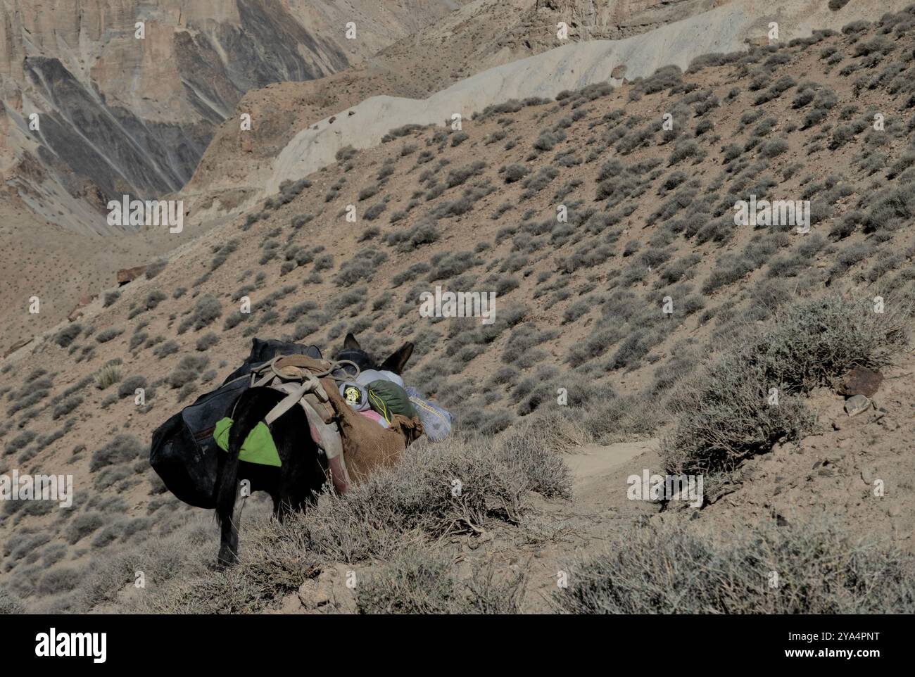 Navigating the treacherous Shimshal Pass trek, Shimshal, Gojal ...